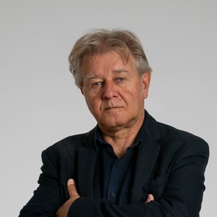 Consigli di corsi di studio - Auic